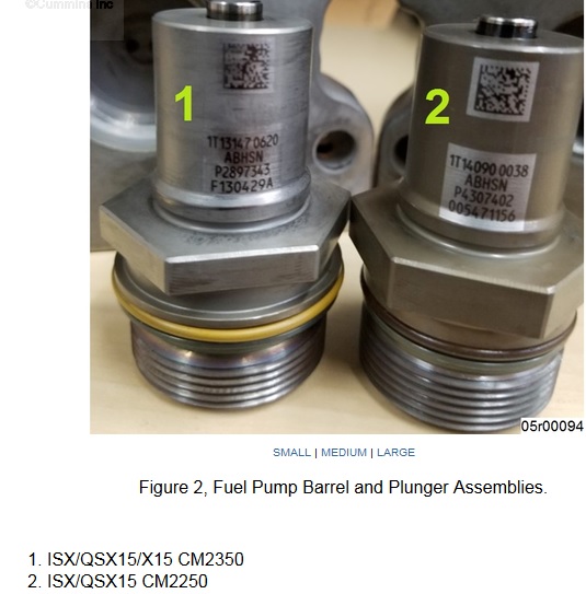 2250 Carnage Pictures